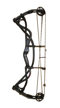 Hoyt Carbon matrix